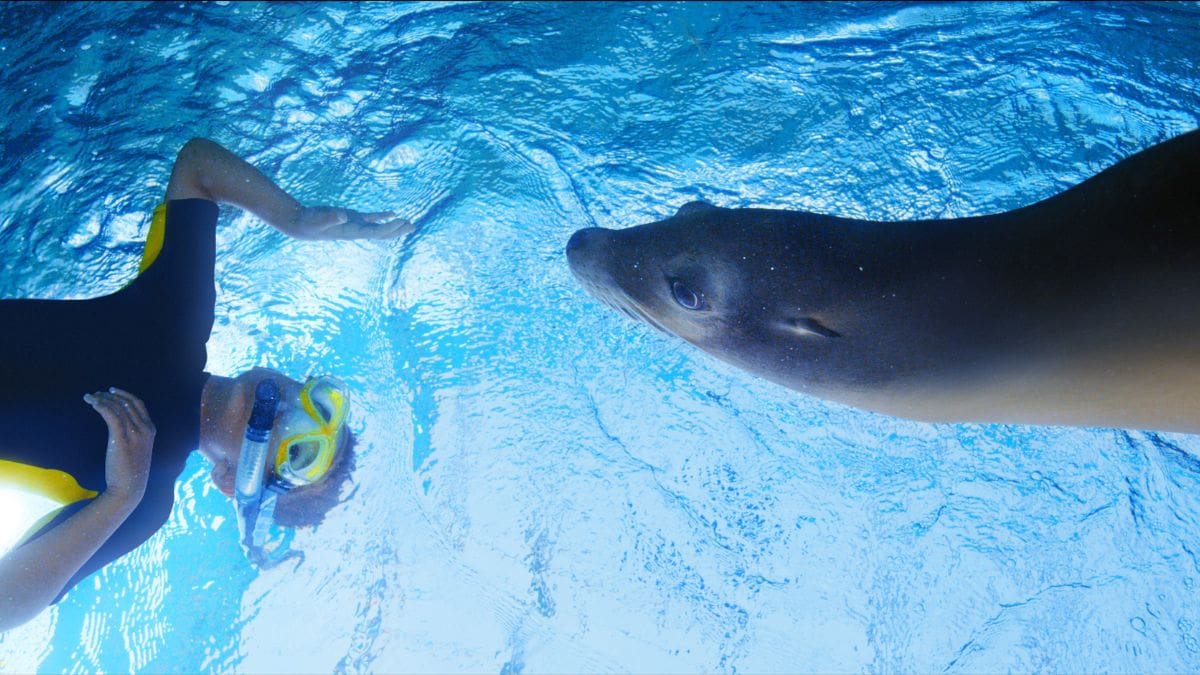 20 Things To Do In Atlantis Bahamas On Paradise Island