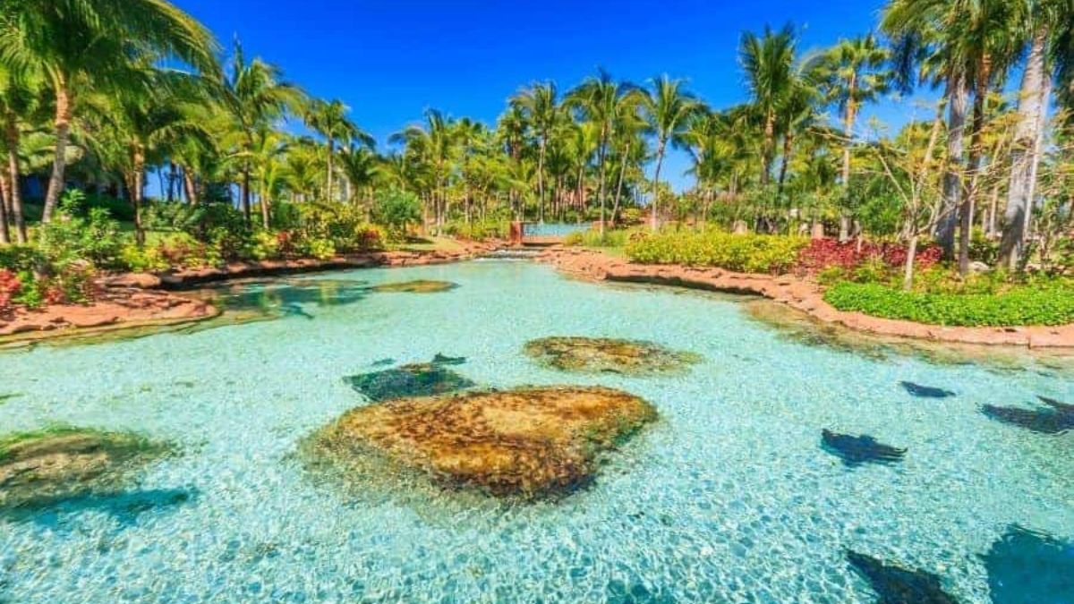 20 Things To Do In Atlantis Bahamas On Paradise Island