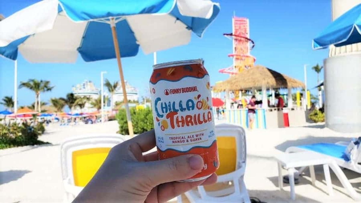 Guide to Perfect Day at CocoCay Waterpark