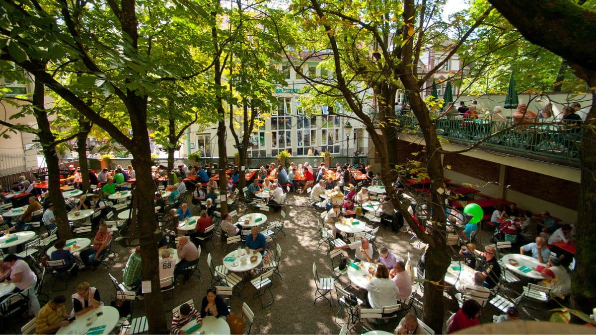 8 Best Things to do in Freiburg, Germany