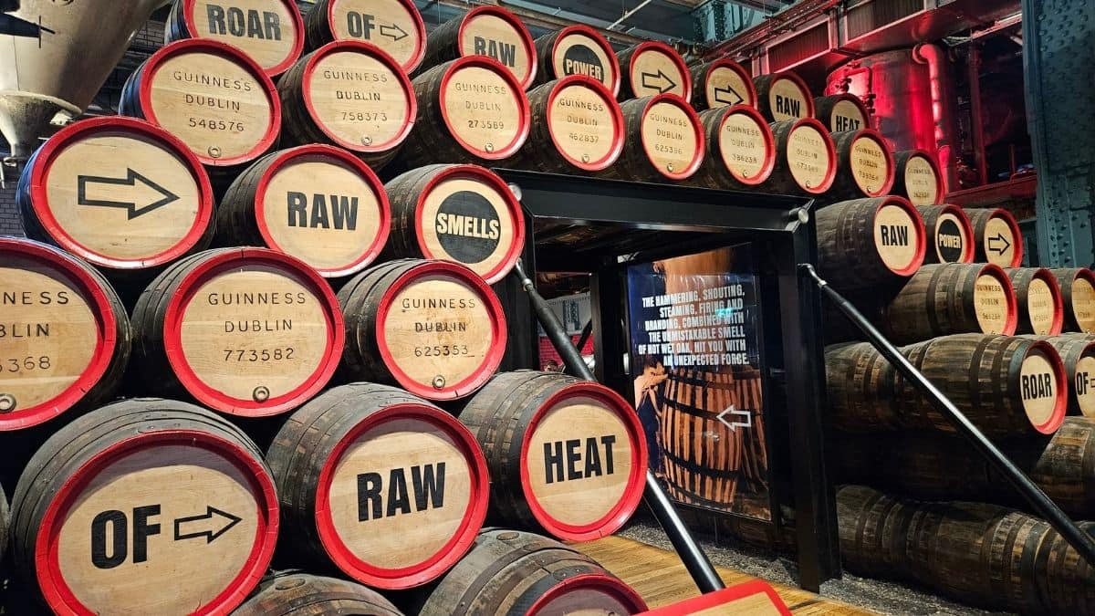 17 Absolute Best Things to do in Dublin for Adults