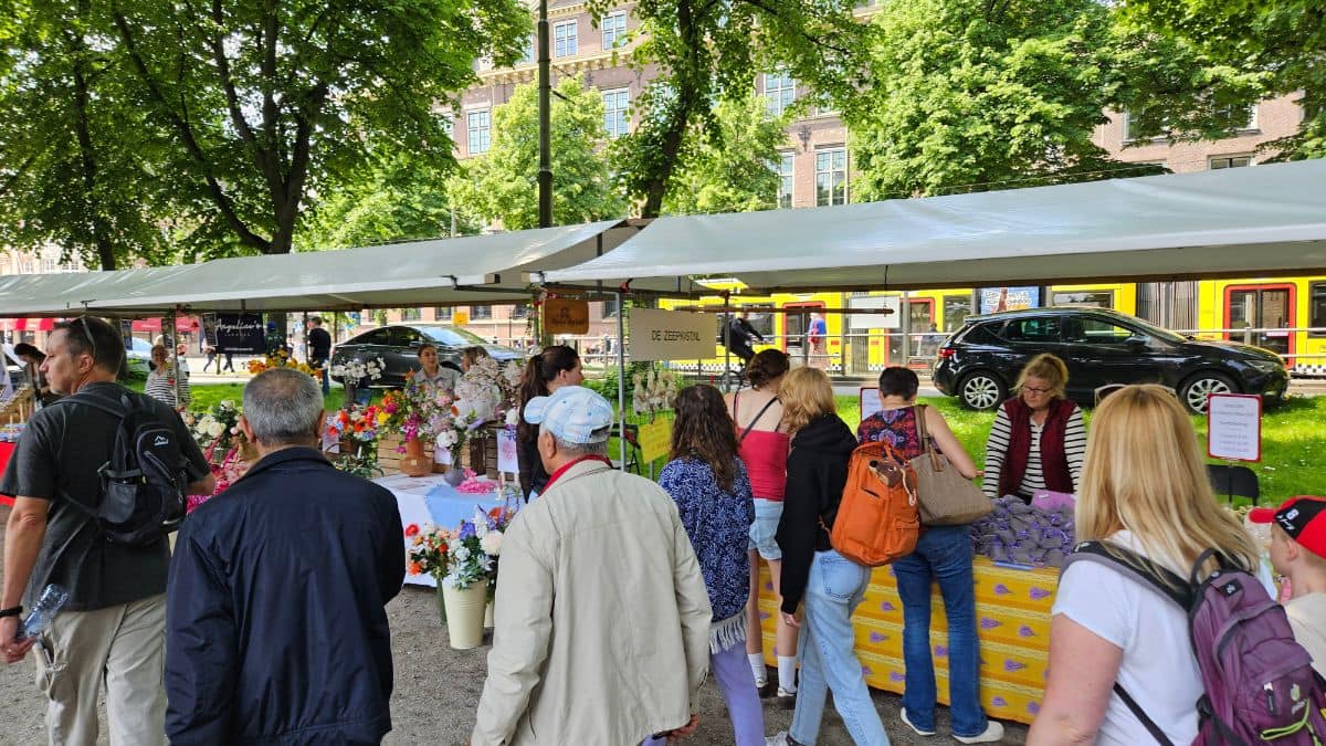 6 Best Places To Visit in the Hague