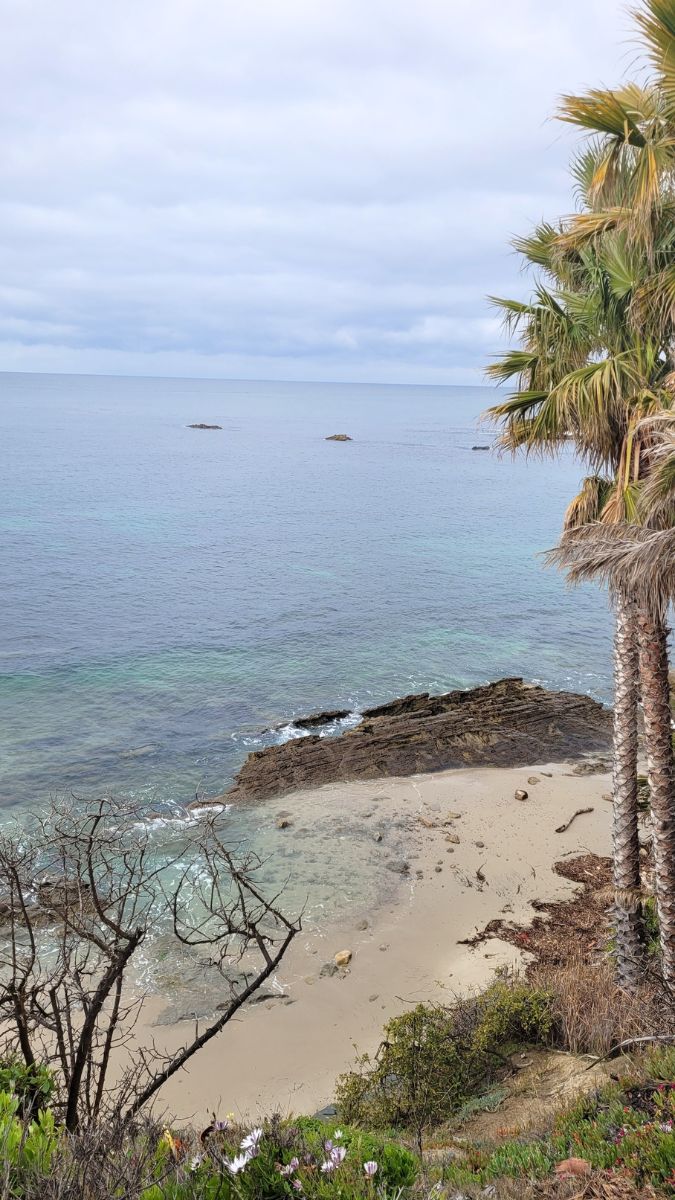 8 Best Things to do in Laguna Beach, California