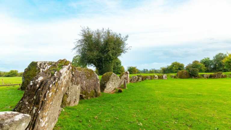 15 Things to Do in Limerick, Ireland