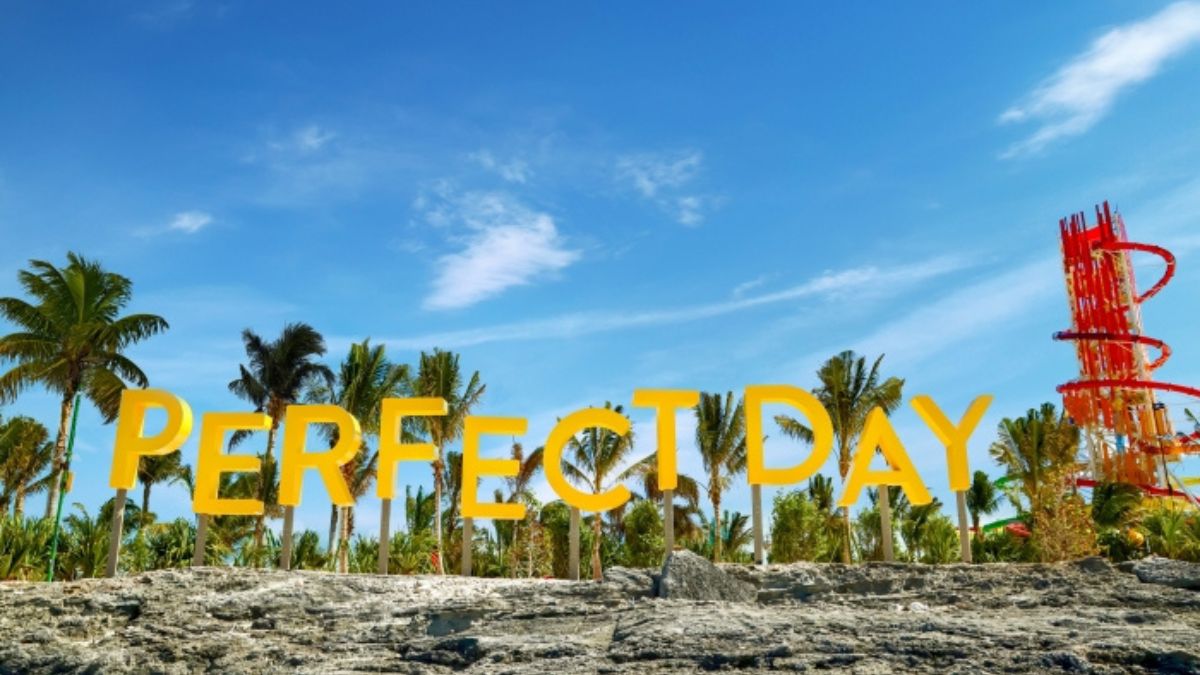 Guide to Perfect Day at CocoCay Waterpark